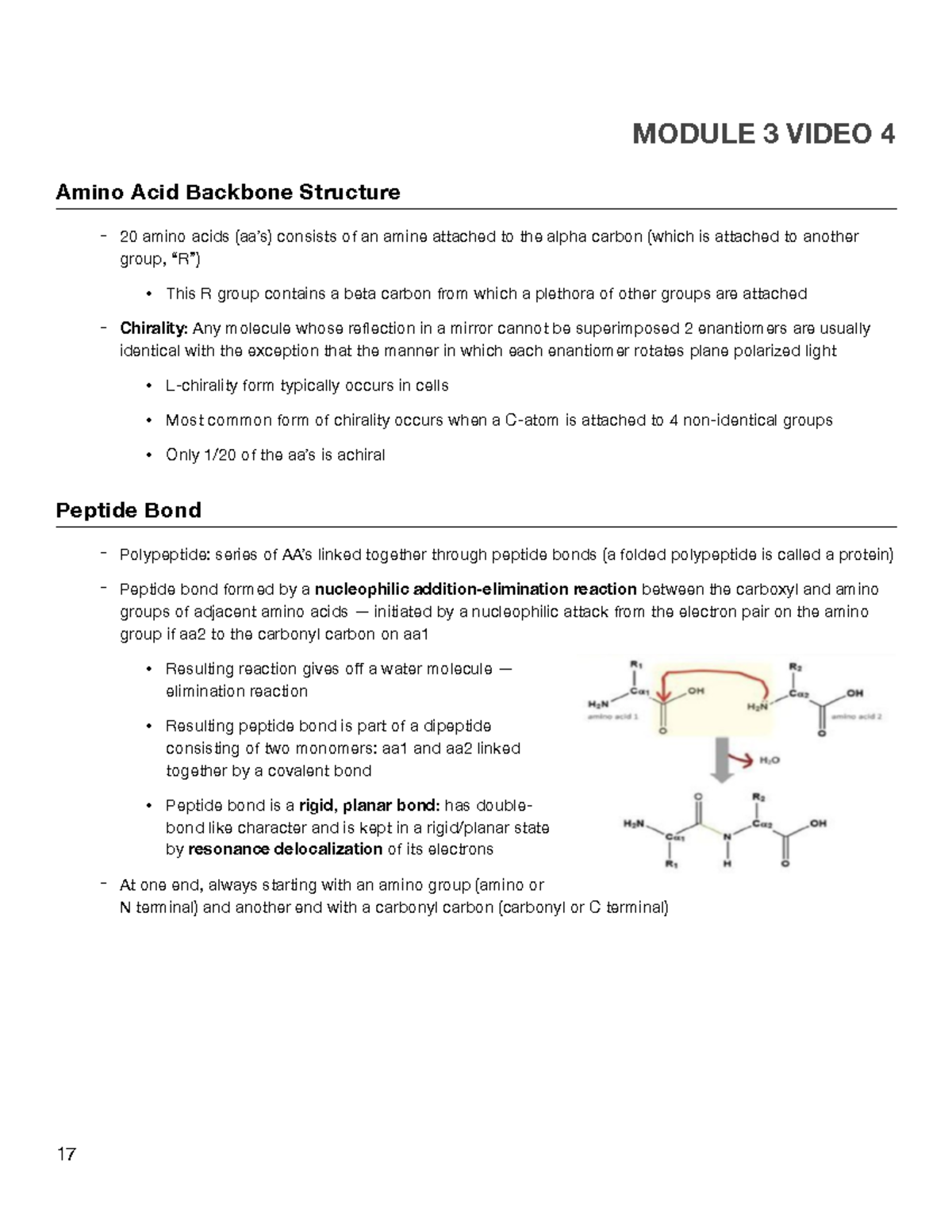 Module 3 Video 4 - MODULE 3 VIDEO 4 Amino Acid Backbone Structure - 20 ...