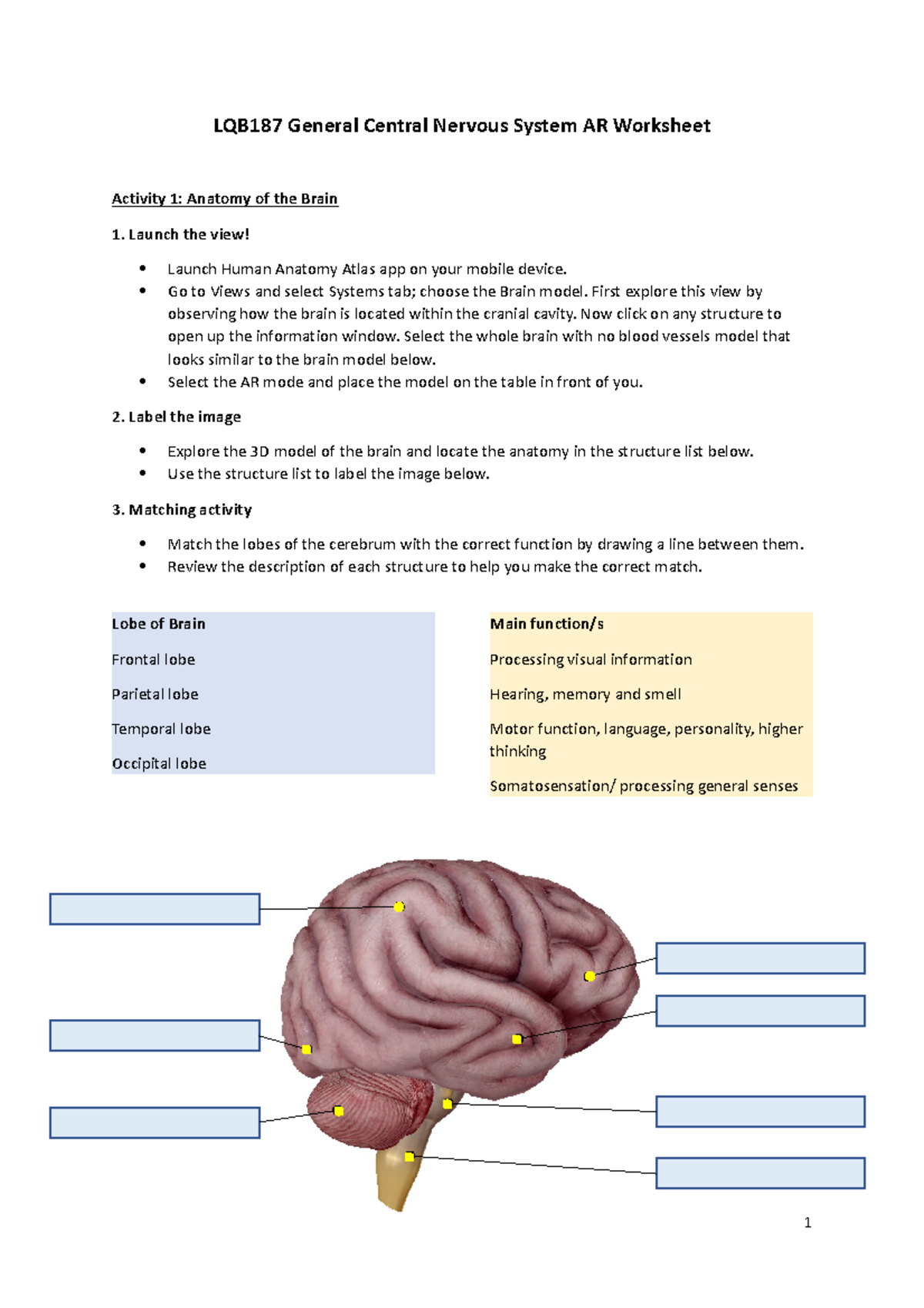 Nervous system worksheet - Gen - LQB187 General Central Nervous System ...