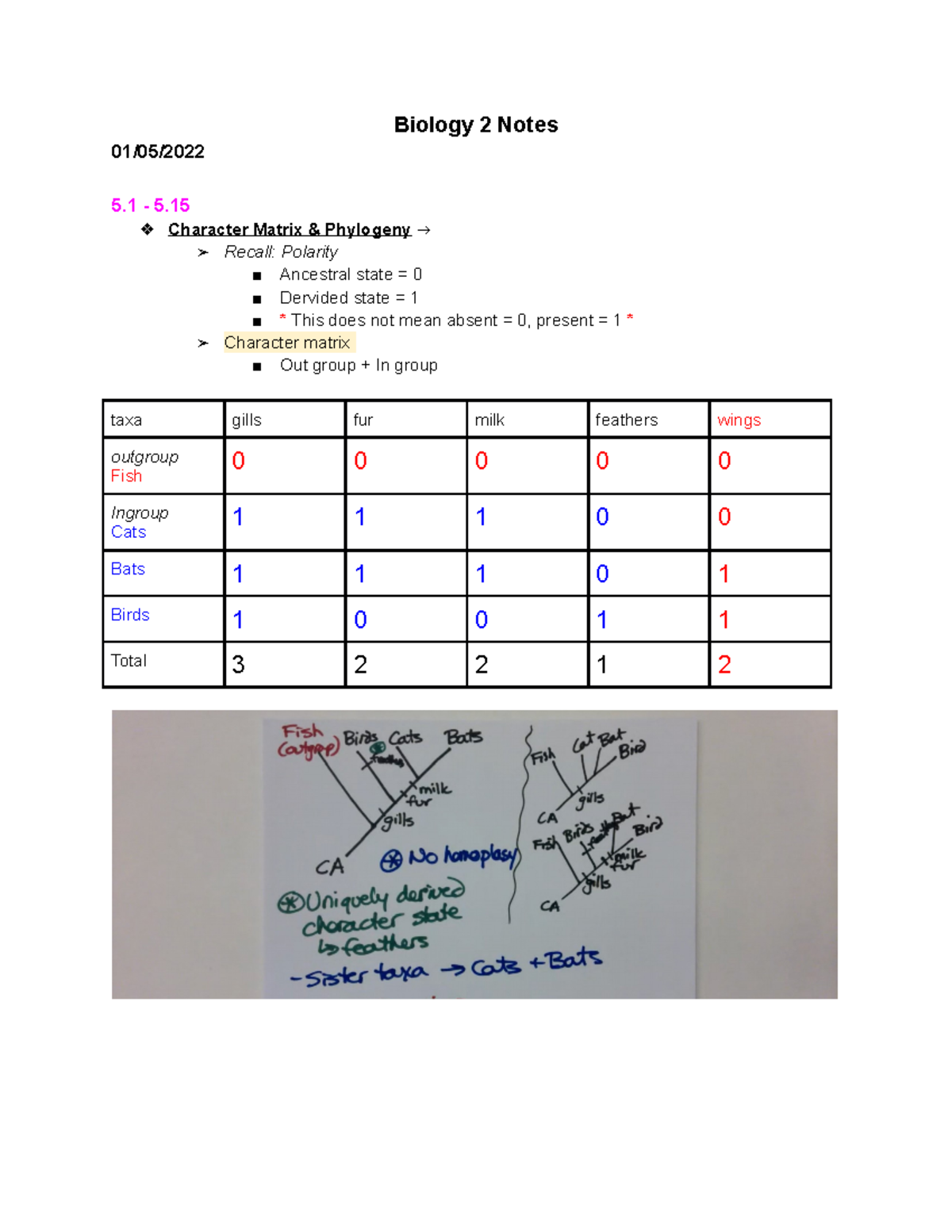 Biology 2 Notes Week 5 - Dr. Carolyn Martineau - Biology 2 Notes 01/05 ...
