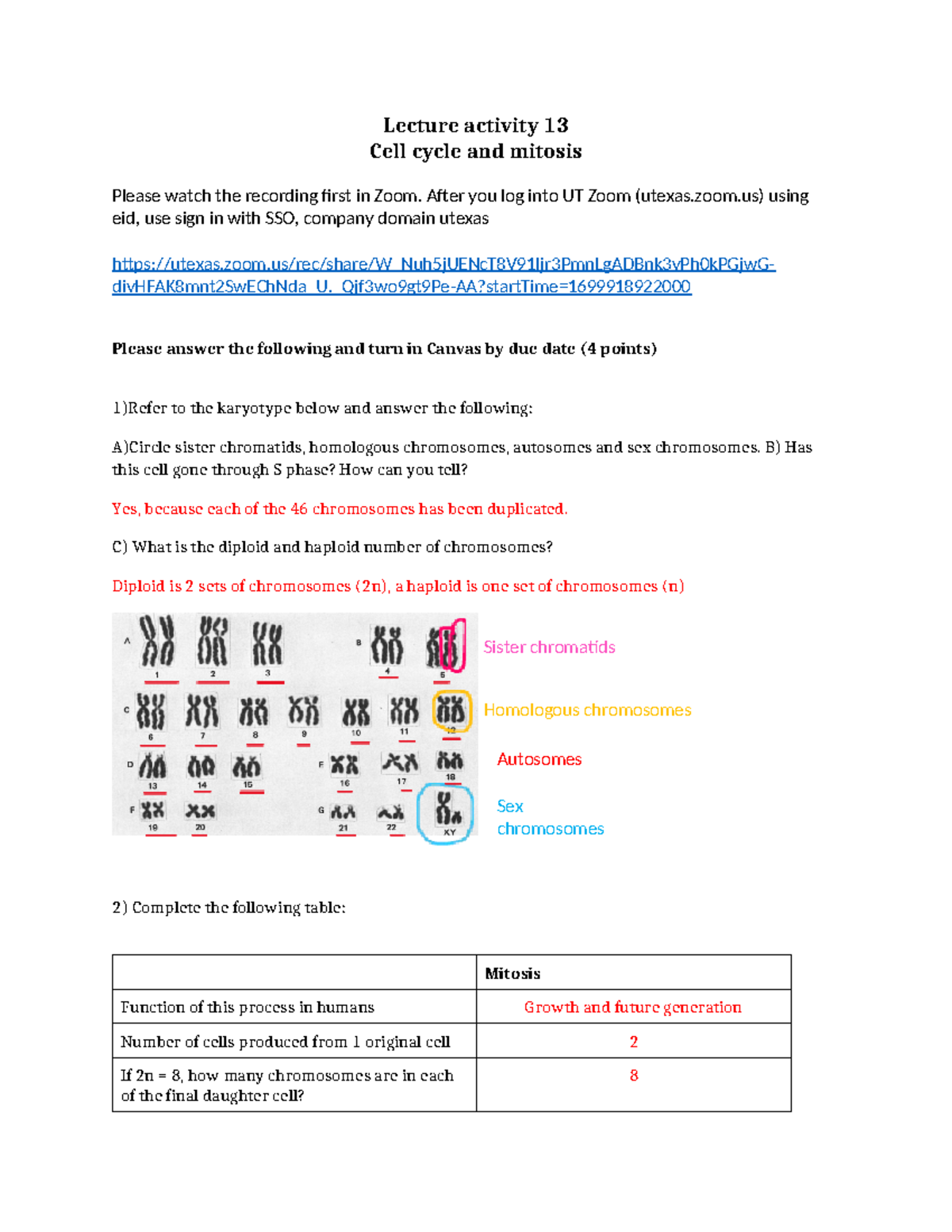 Lecture Activity 13 Cell Cycle - Lecture activity 13 Cell cycle and ...