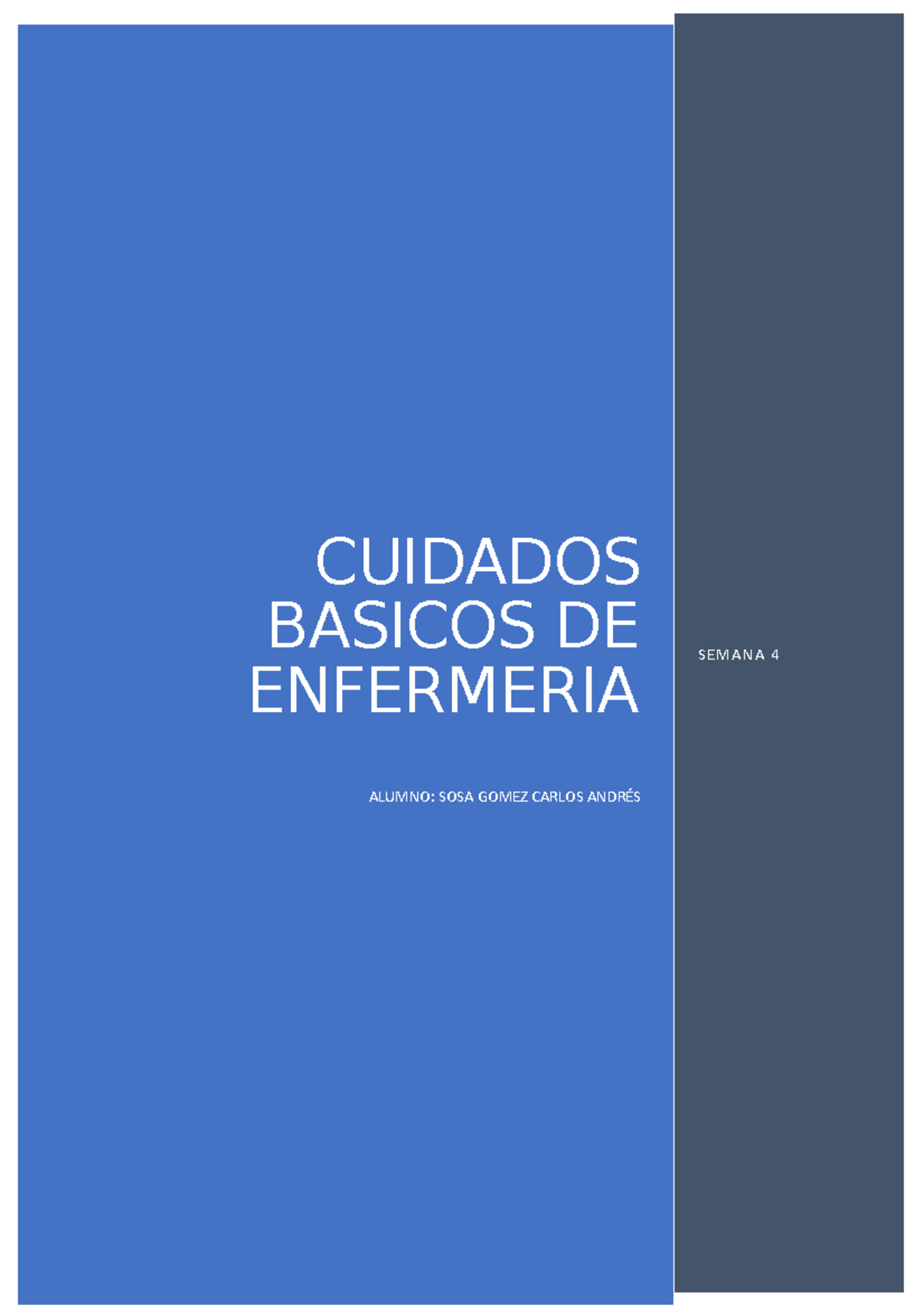 Cuidados basicos - CUIDADOS BASICOS DE ENFERMERIA ALUMNO: SOSA GOMEZ ...