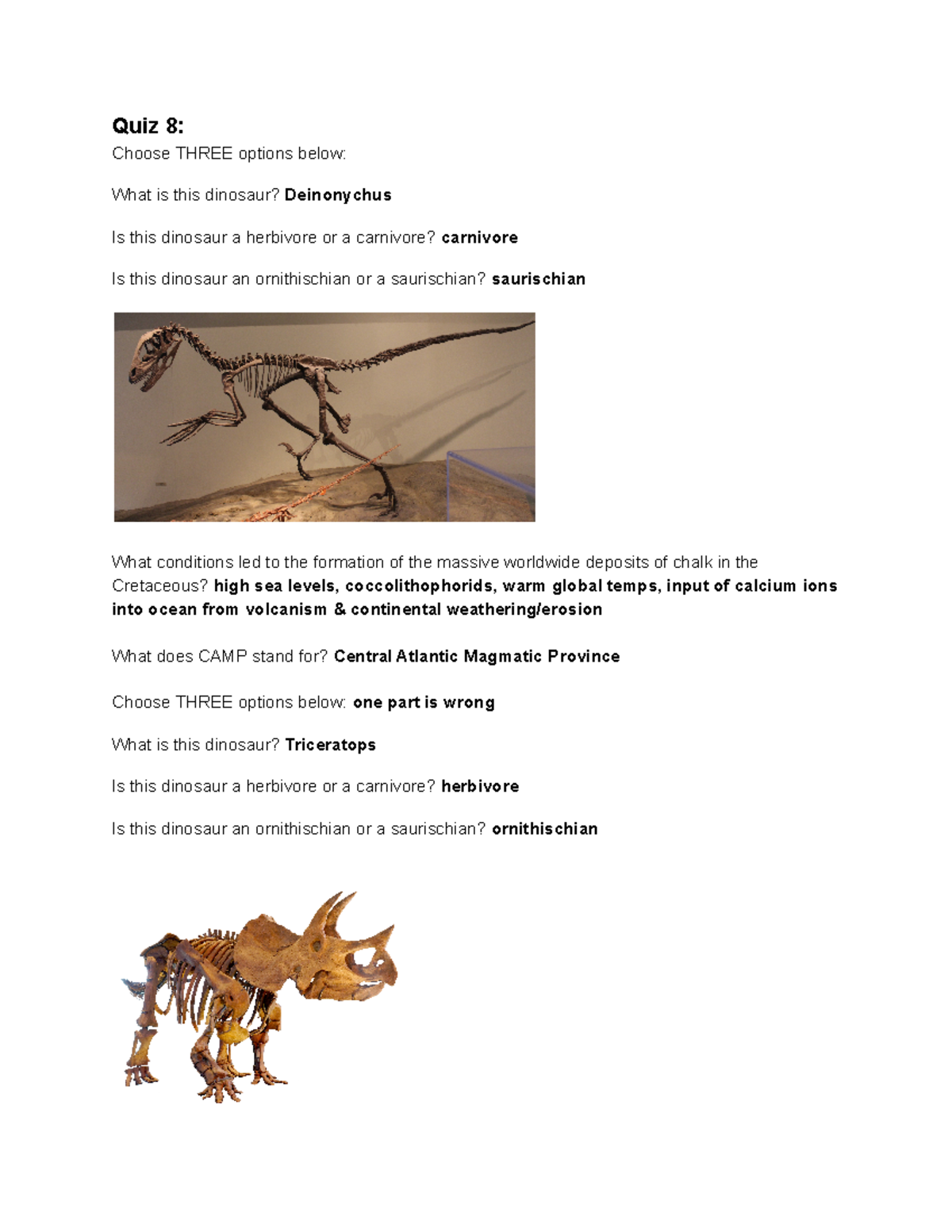 Copy of Quizzes for Exam 3 - Quiz 8: Choose THREE options below: What ...