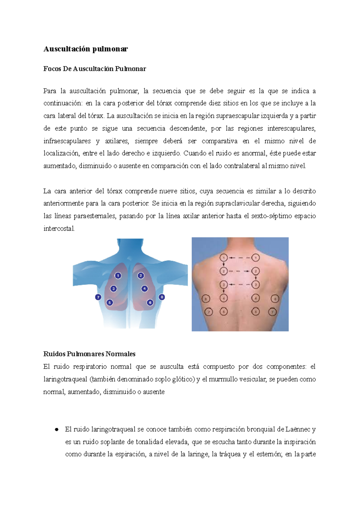 Auscultación pulmonar - Auscultación pulmonar Focos De Auscultación ...