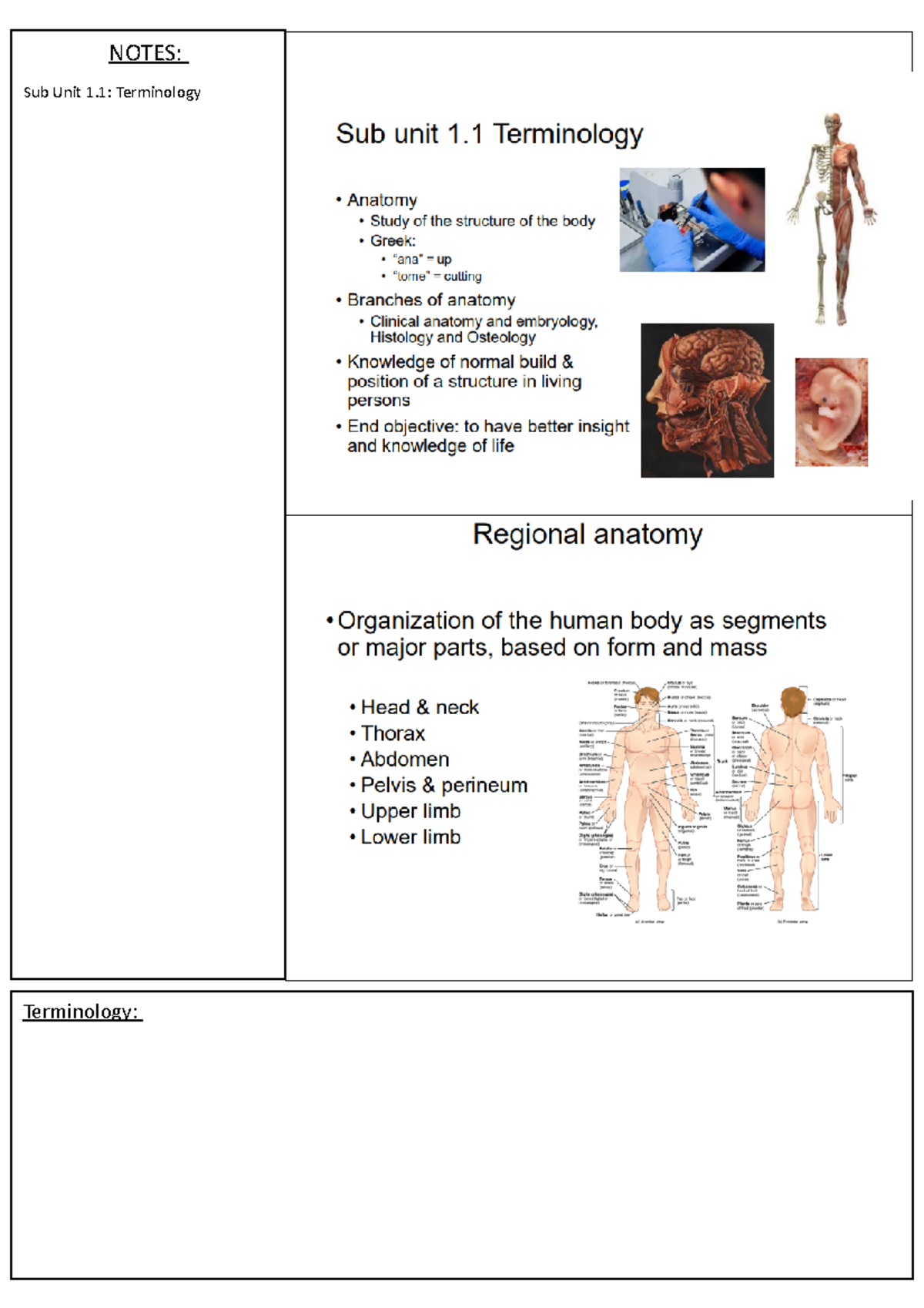 ANA121 Summary Notes UNIT 1.1-1.8 - HUMAN ANATOMY - ANA 121 - Sub Unit ...