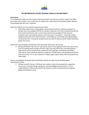 HCM 205 Final Project Template A Day in the Life of a Medical Scribe ...