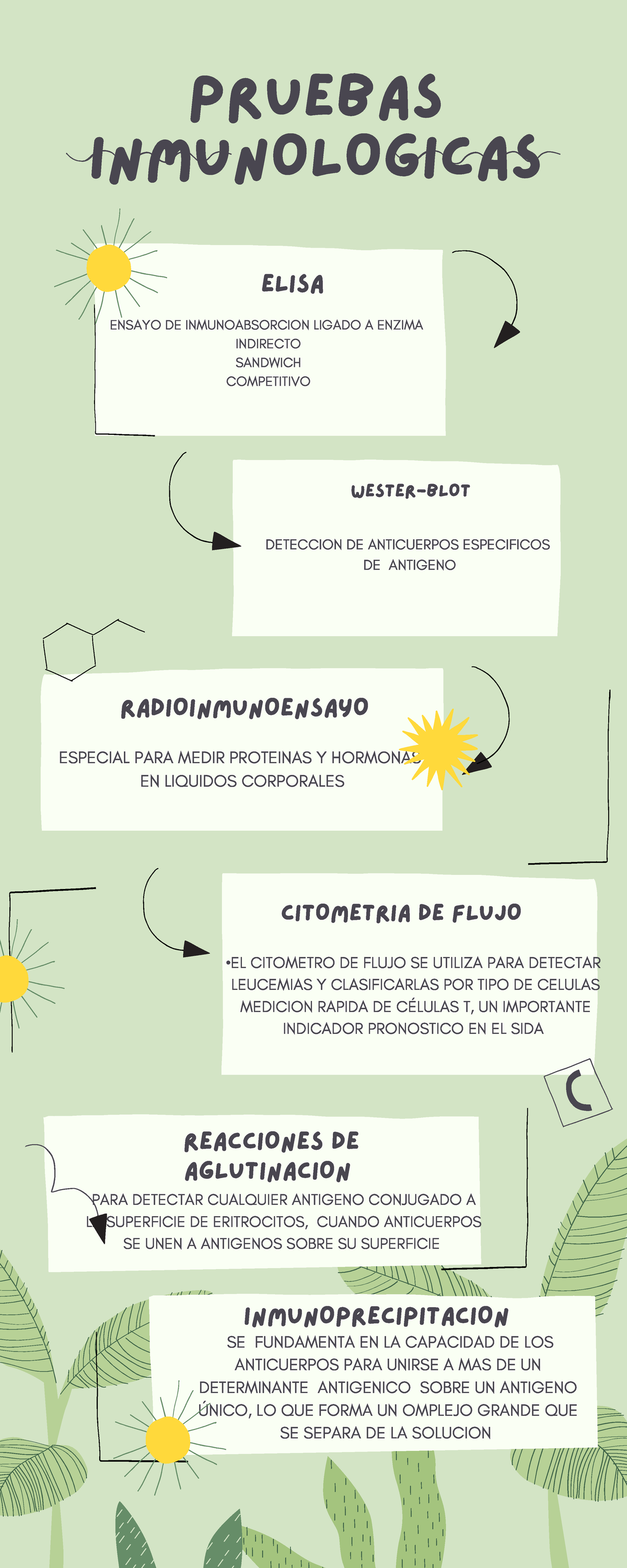 Pruebas Inmunologicas - REACCIONES DE AGLUTINACION PRUEBAS ...