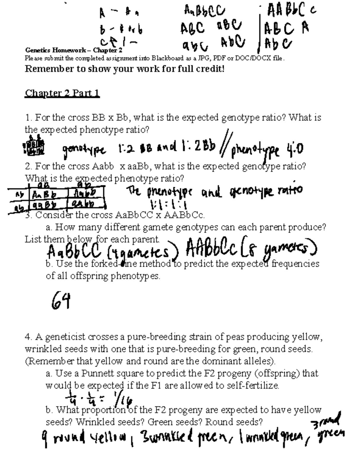 Homework chapter 2 - Genetics Homework – Chapter 2 Please submit the ...