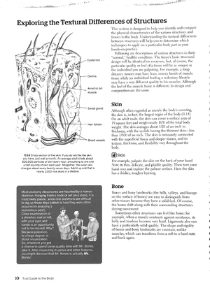 Navigating the body - Massage 101 - Studocu