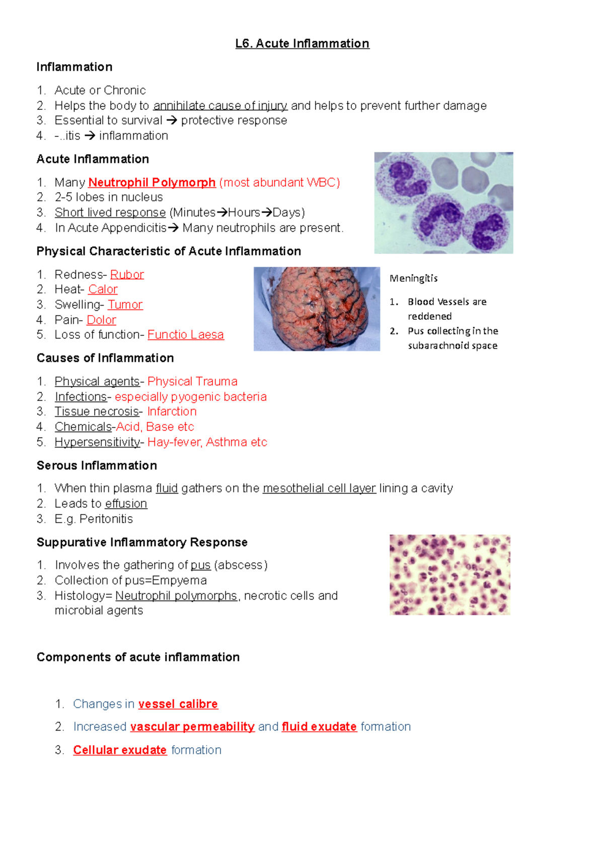 Acute Inflammation - quick notes - L6. Acute Inflammation Inflammation ...