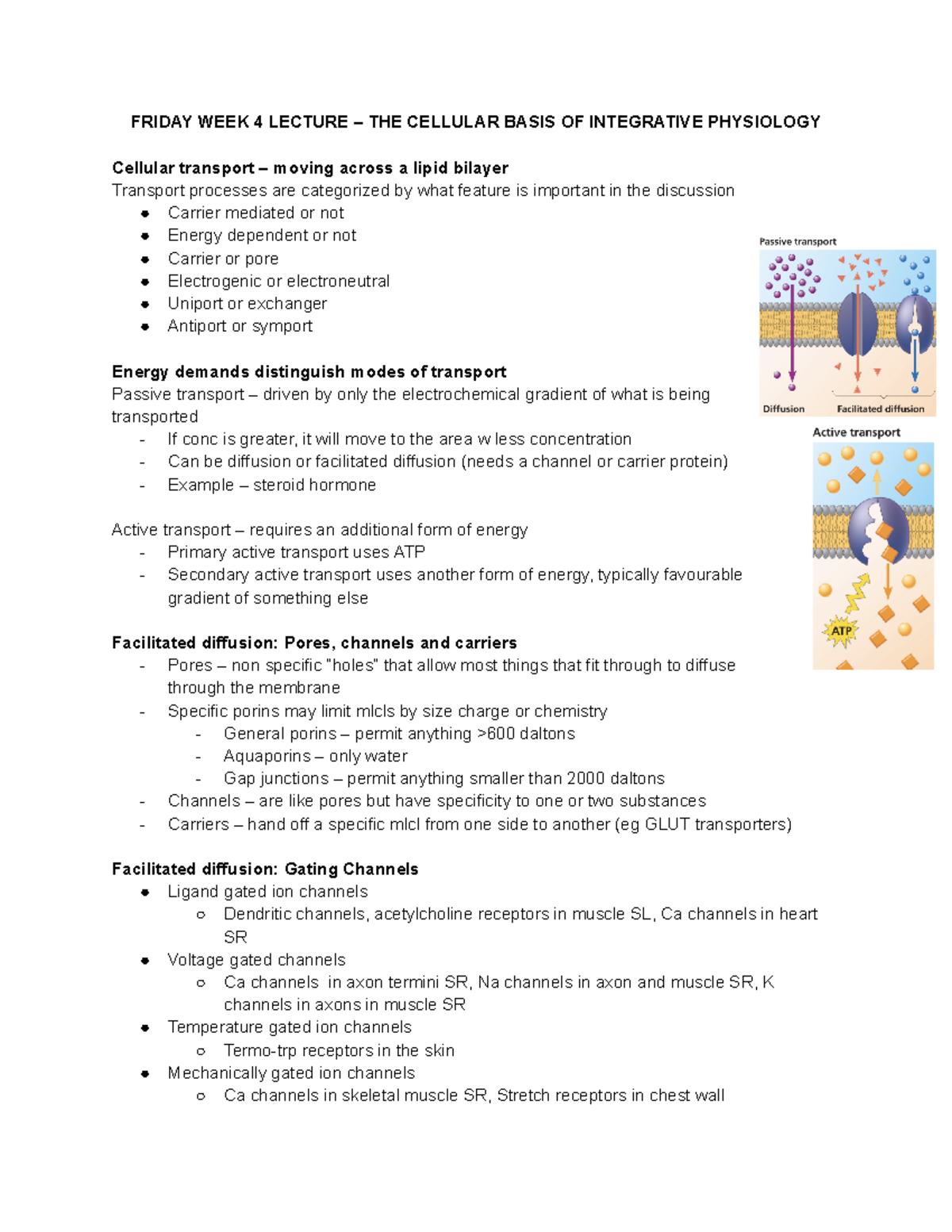 Friday WEEK 4 Lecture – THE Cellular Basis OF Integrative Physiology ...