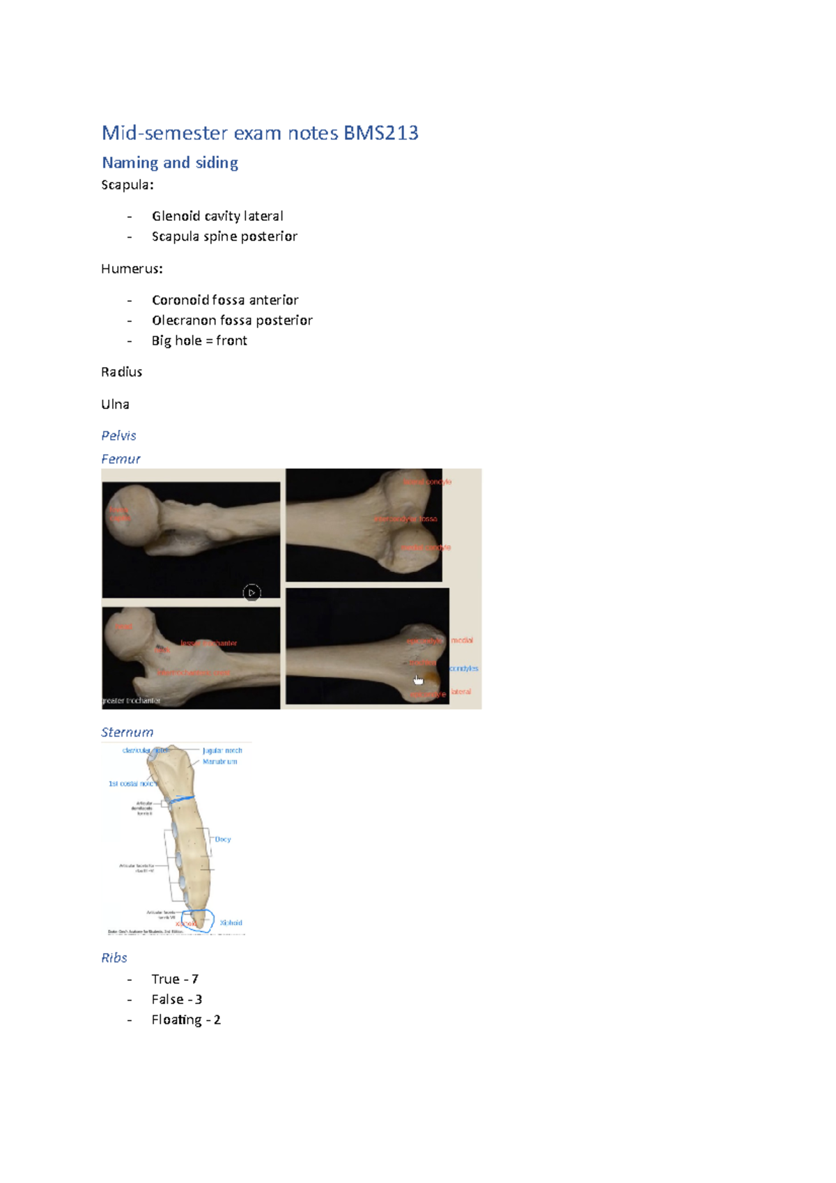 Mid term assessment BMS213 - Mid-semester exam notes BMS Naming and ...
