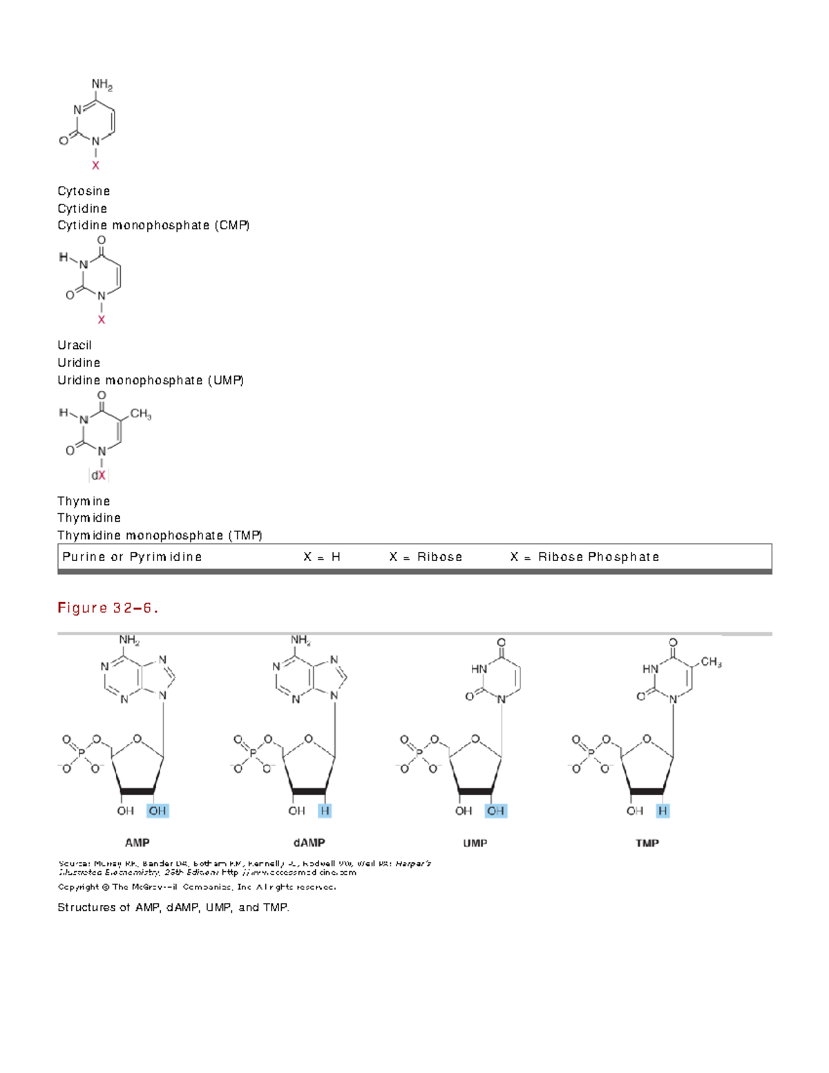 Harpers illustrated biochemistry 28th edition 66 - Cyt osine Cyt idine ...