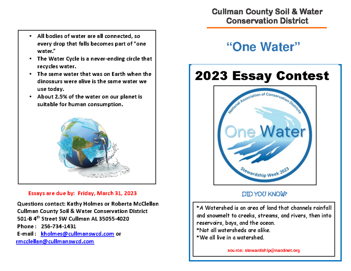 2023 Essay flyer - idk - Please appropriate category ___K-1 ___ 2-3 ...