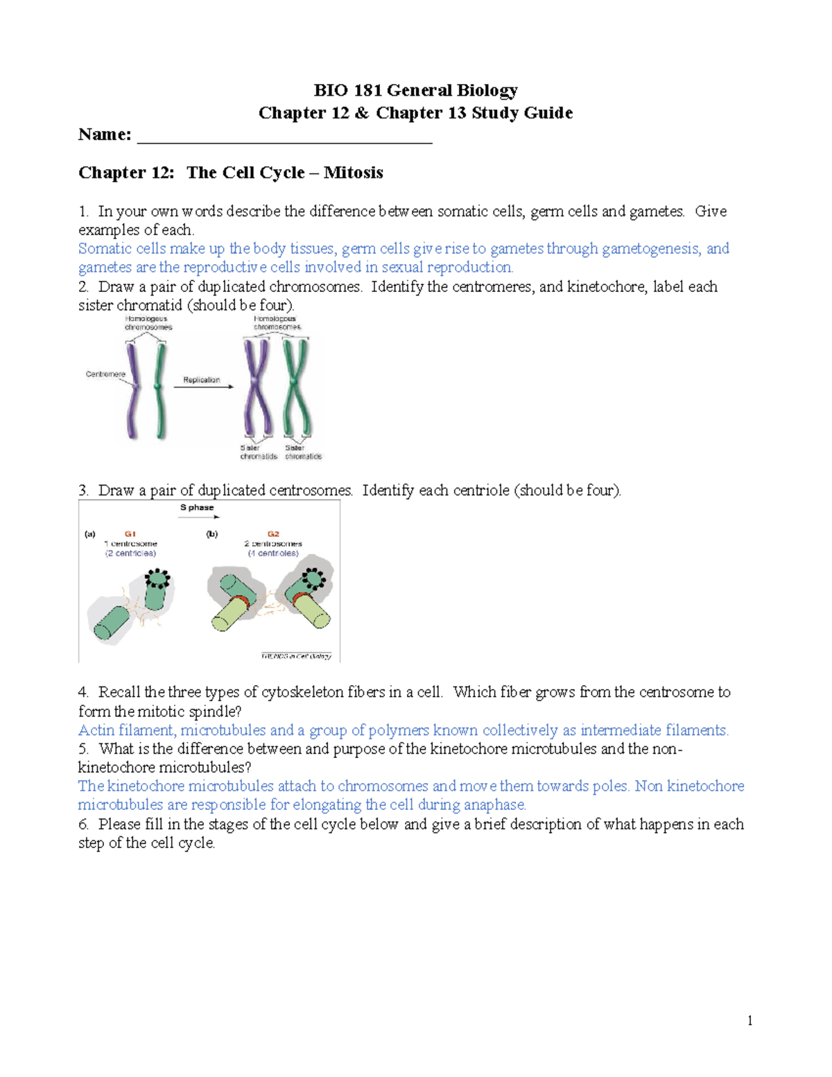 Chapt 12 and 13 Study Guide F23 - BIO 181 General Biology Chapter 12 ...