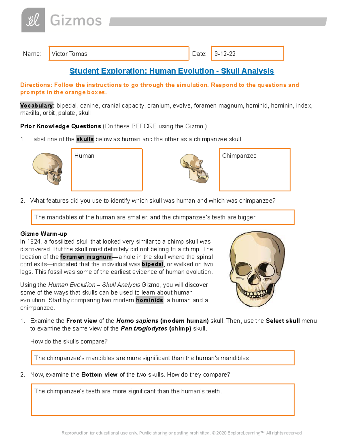 Copy of Gizmo Human Evolution - Name: Victor Tomas Date: 9-12- Student ...