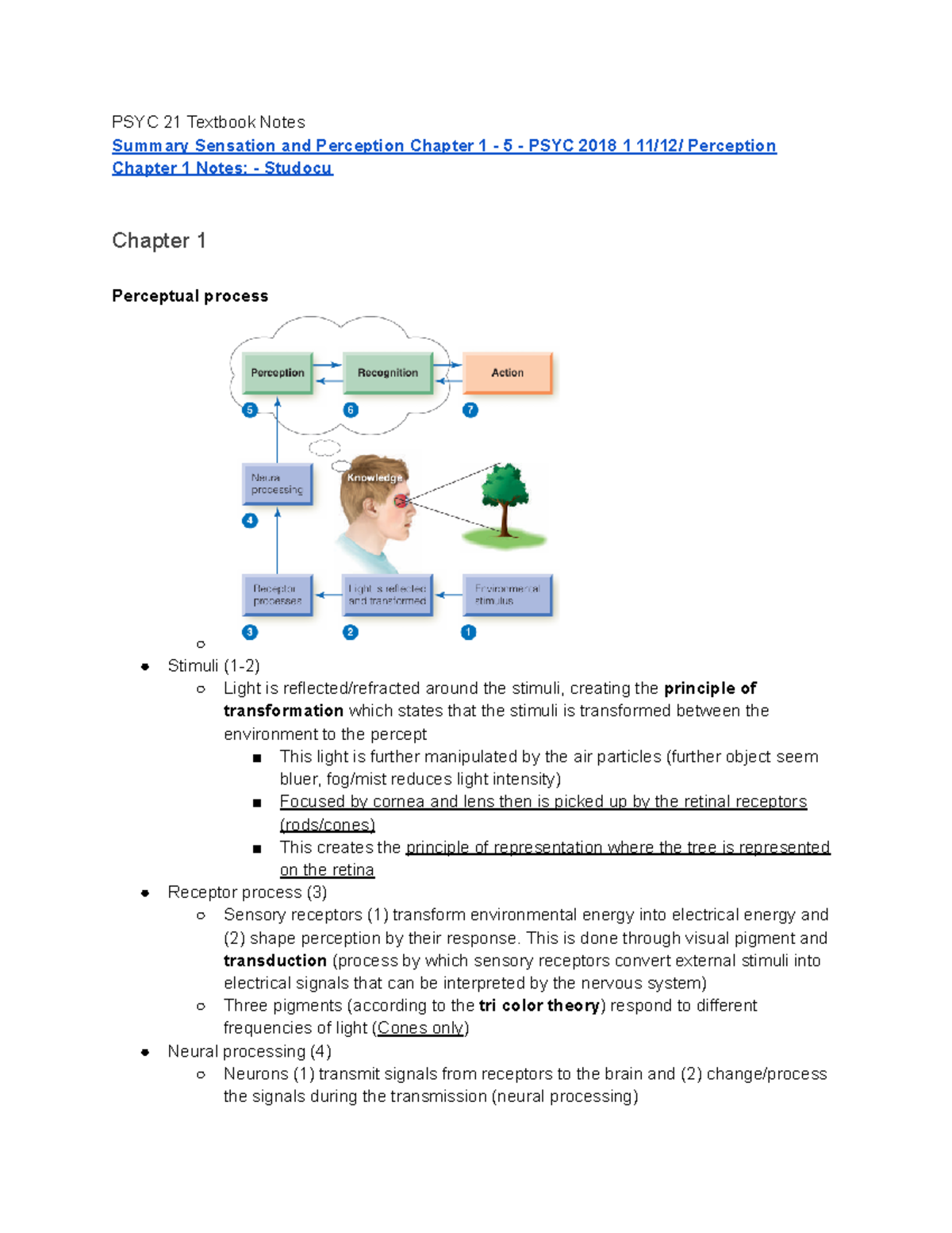 PSYC 21 Textbook Notes - PSYC 21 Textbook Notes Summary Sensation and ...