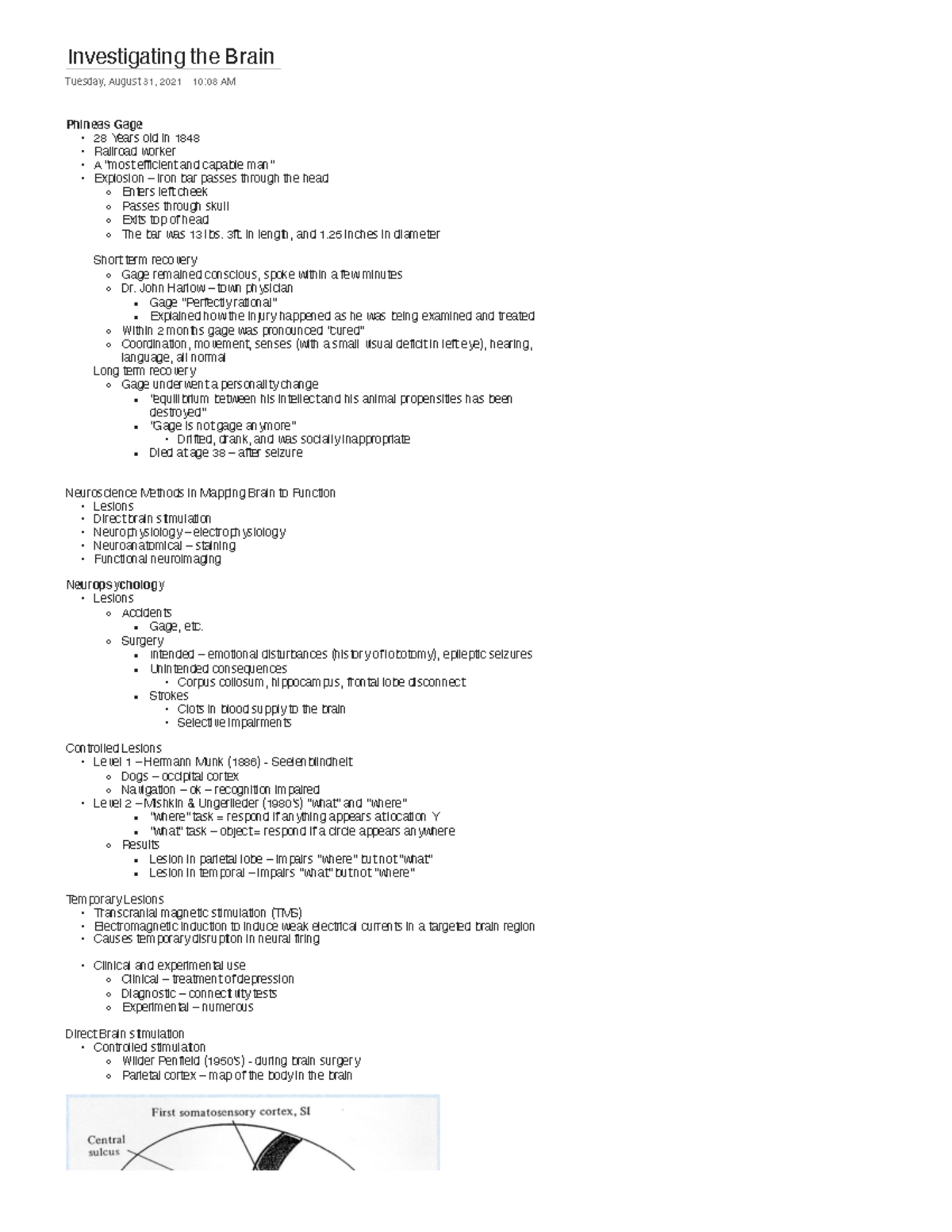 CGS Investigating the Brain Notes - Investigating the Brain Tuesday ...