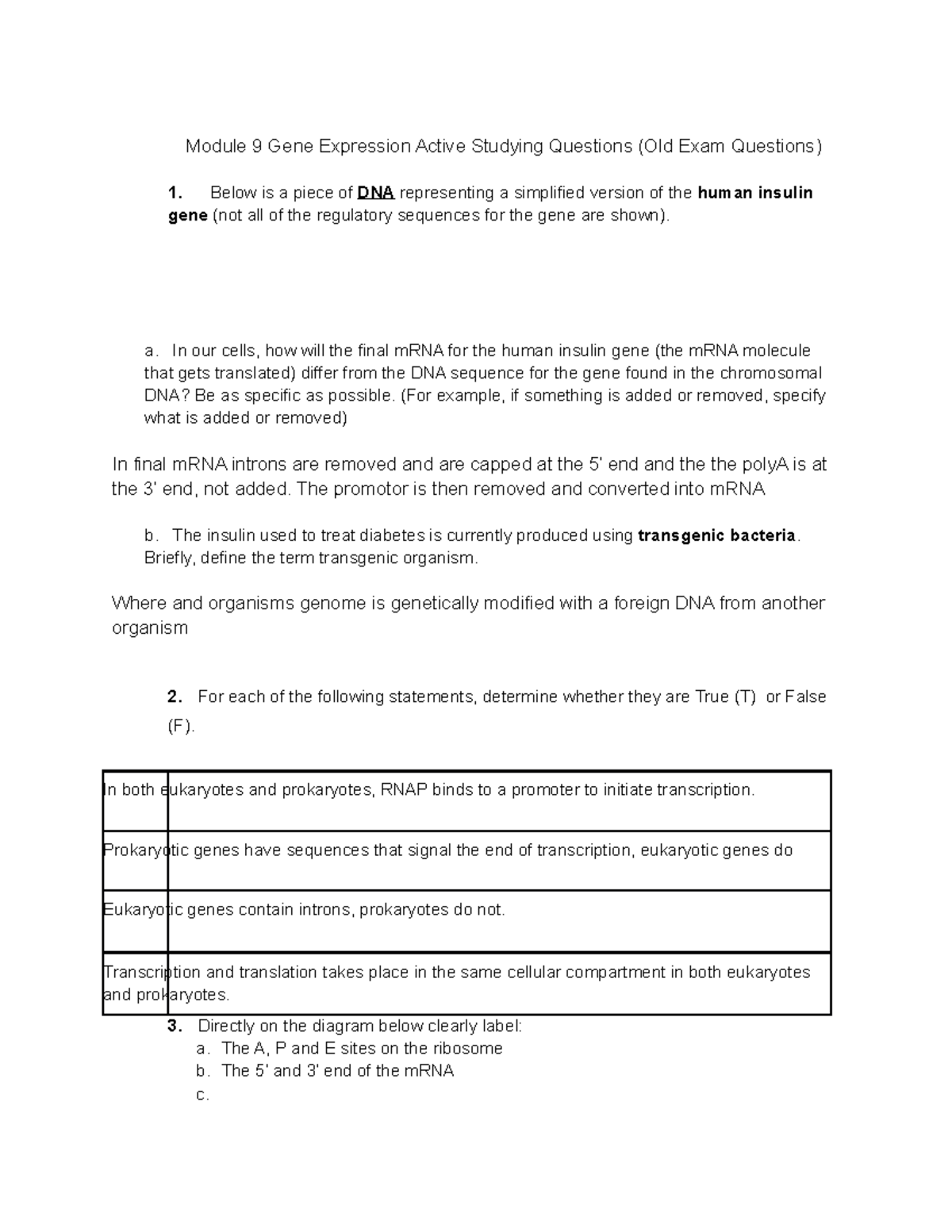Module 9 Gene Expression Active Studying Questions (Old Exam Questions ...