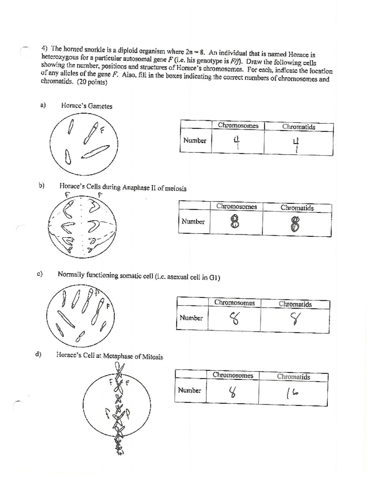 Mod2 problems 092321 key - BIO320 - Studocu