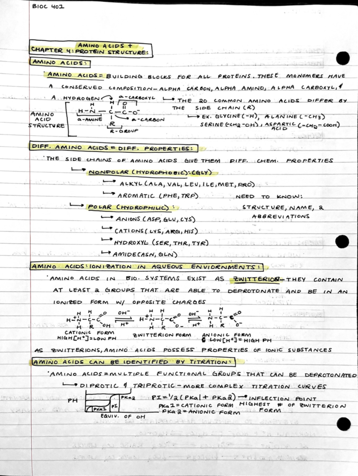 UNL BIOC 401 CH 4 NOTES - BIOC 401 AMINO ACIDS CHAPTER 4: PROTEIN ...