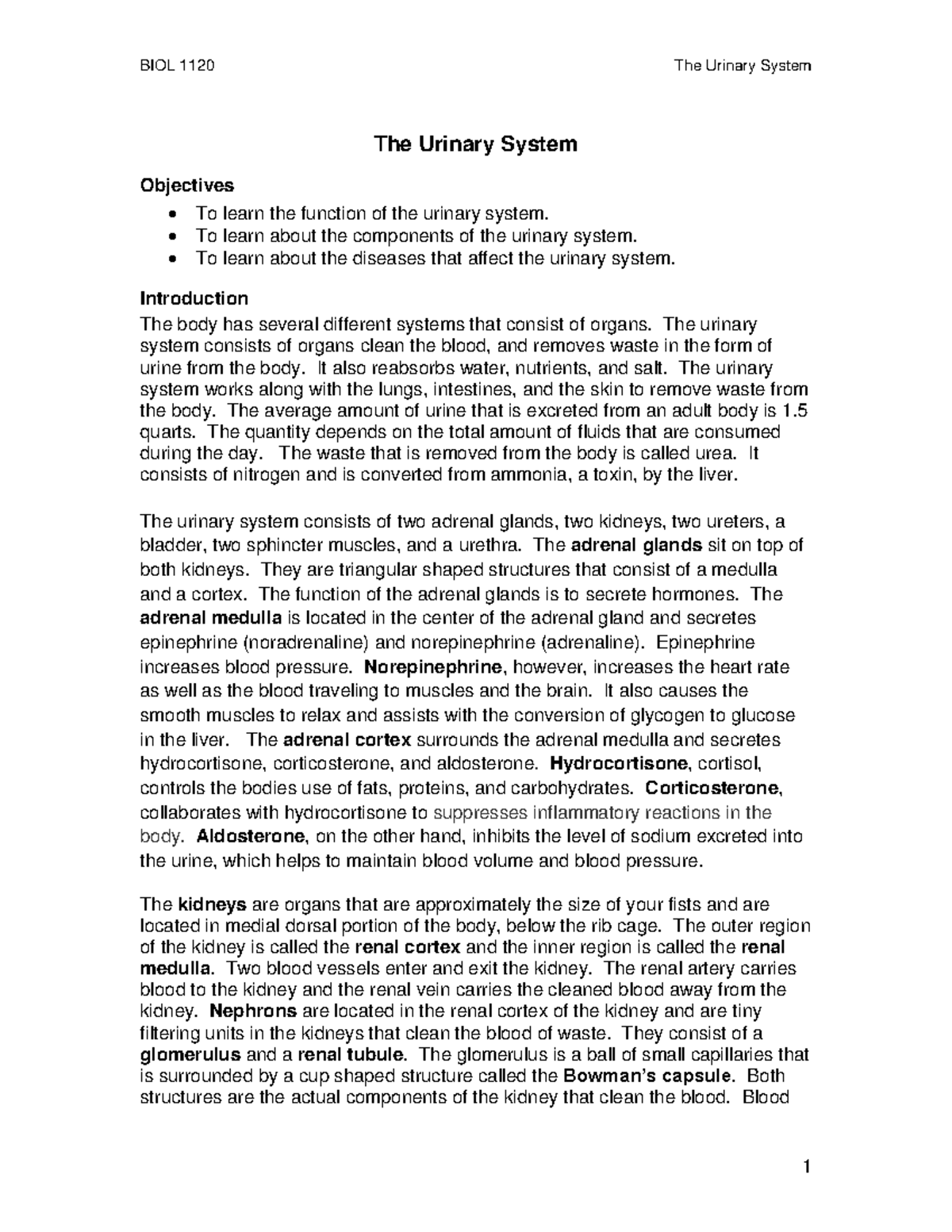13a The Human Urinary System BIOL 1120 - BIOL 1120 The Urinary System 1 The Urinary System - Studocu
