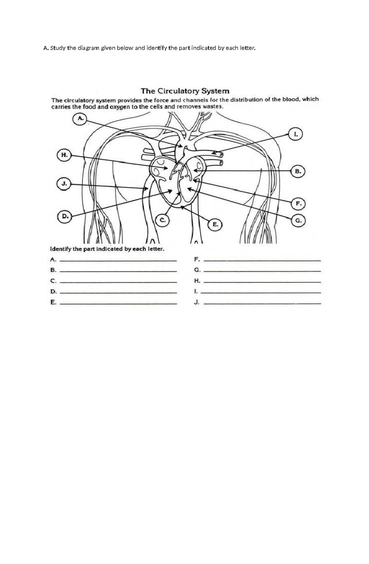 Science 9 Activity 1 - CIRCULATORY SYSTEM - ICT-Computer System ...