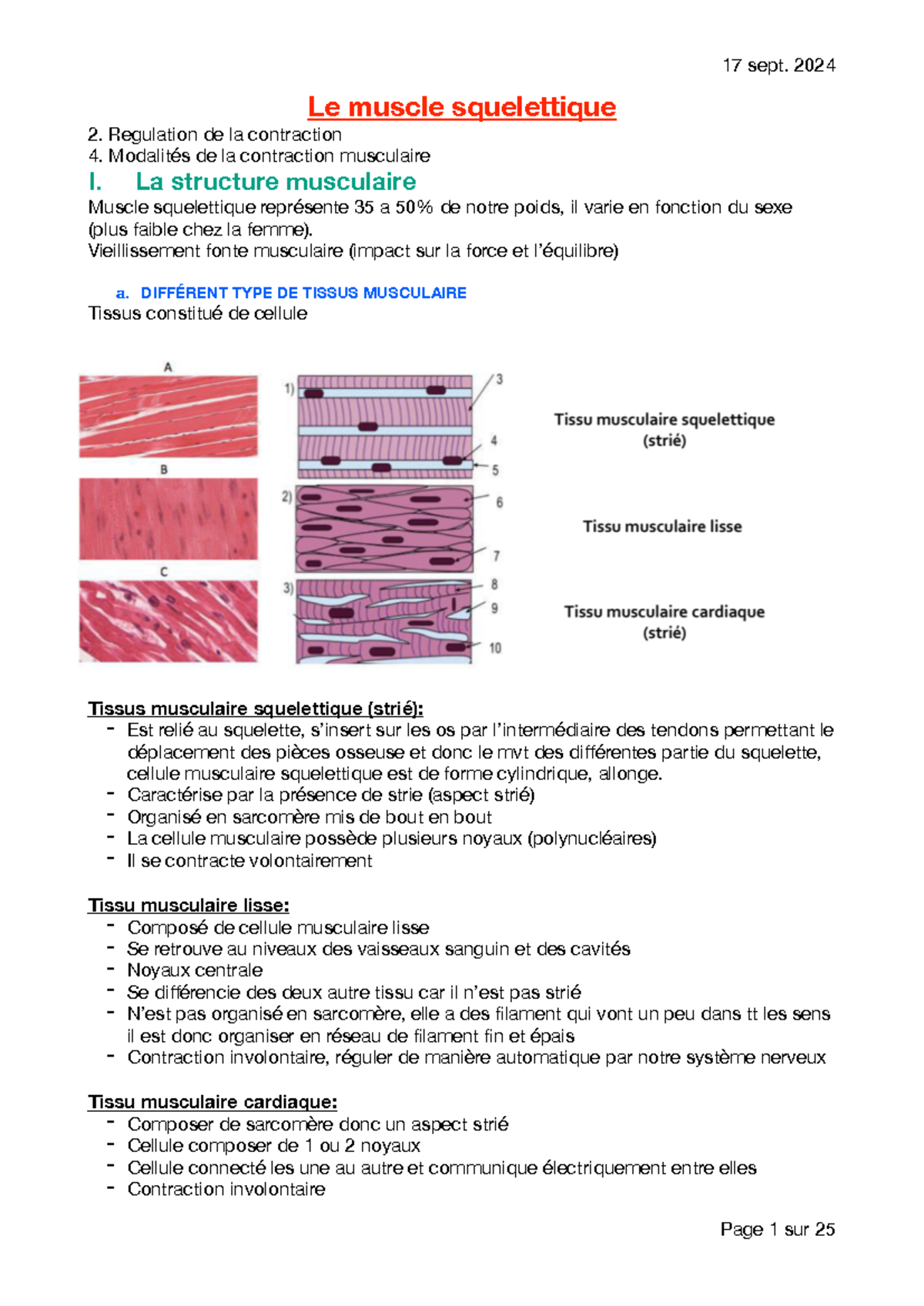 Chapitre n°1 muscle squelettique - Le muscle squelettique Regulation de ...