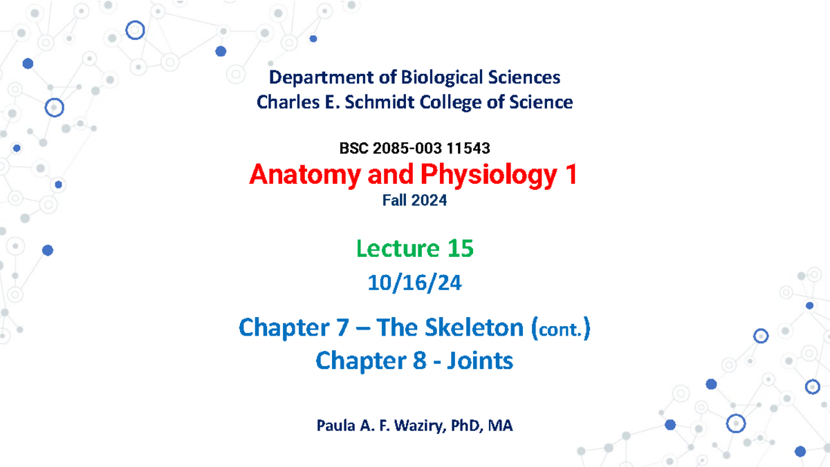 Lecture 15 x anatomy - Department of Biological Sciences Charles E ...