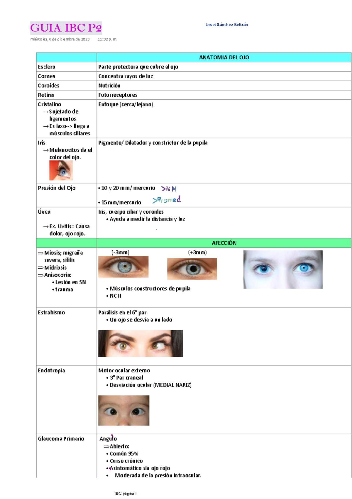 GUIA IBC P2 - anatomia, afección, agudeza visual, alteración de los colores, - Studocu