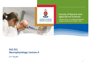 Skeletal Muscle lecture 1 notes - SKELETAL MUSCLE LECTURE 1 name the 4 ...