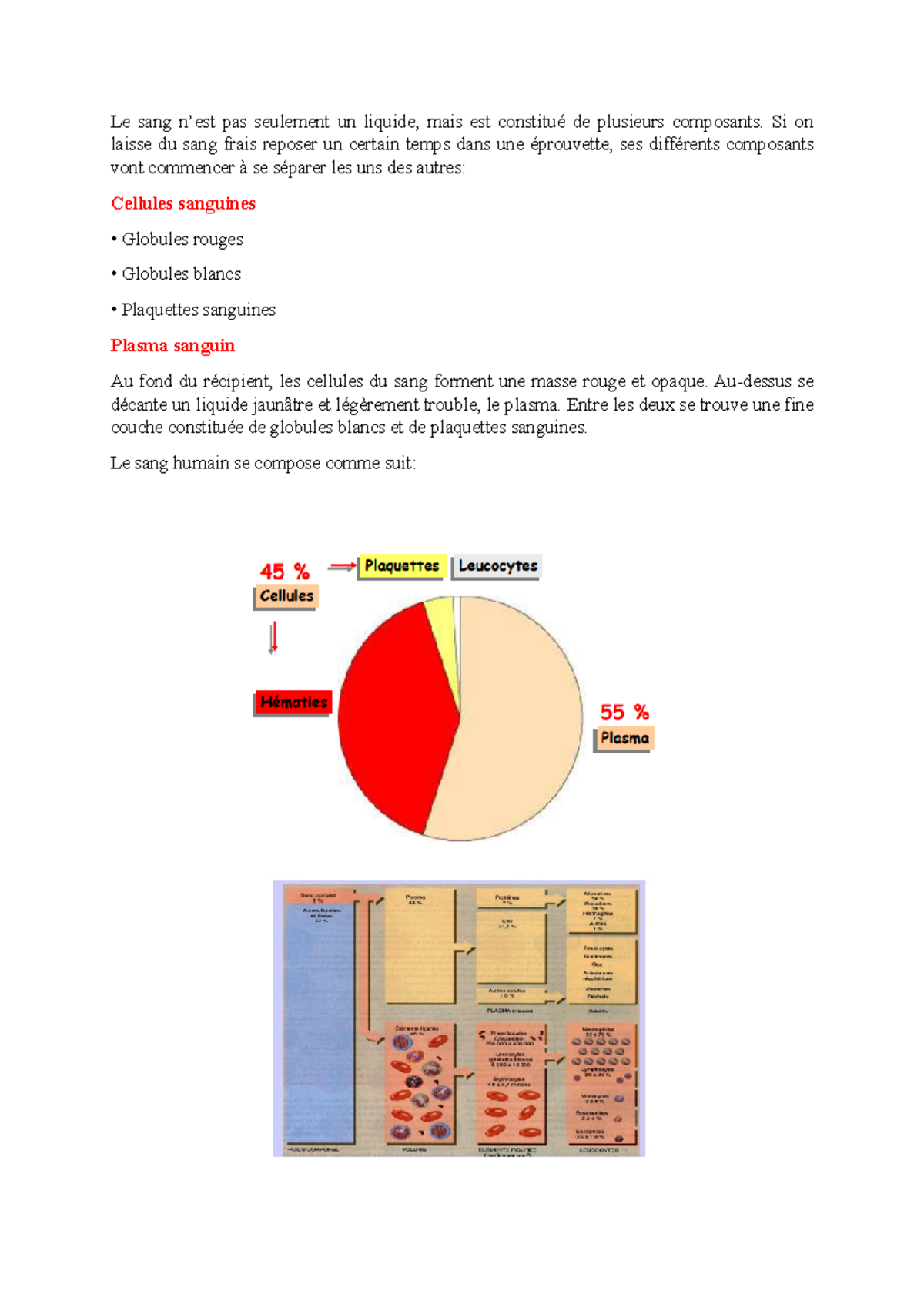 Biochimie du sang - Le sang n’est pas seulement un liquide, mais est ...