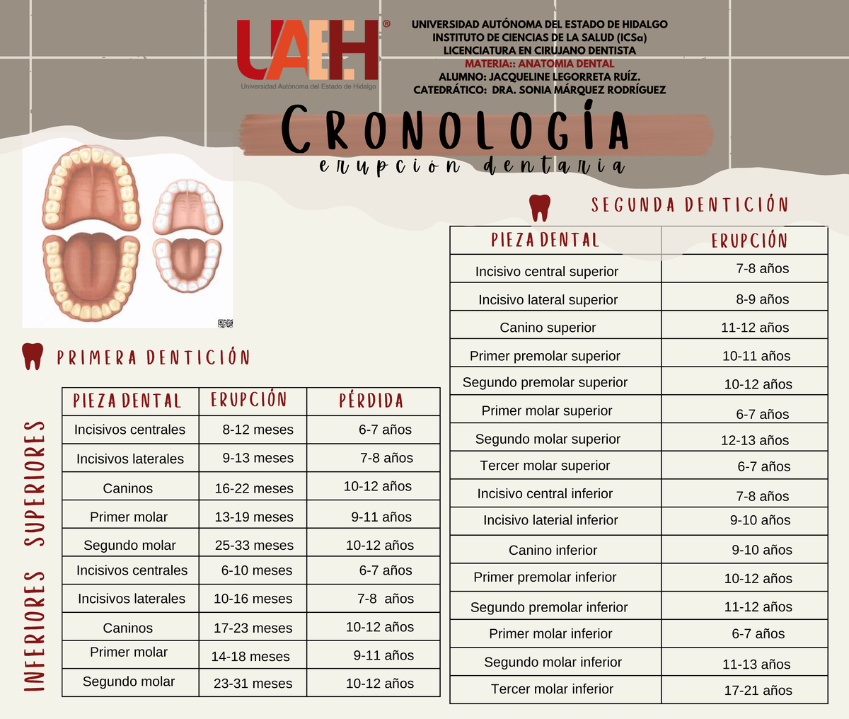 Cronología de erupción dentaria - UNIVERSIDAD AUTÓNOMA DEL ESTADO DE ...