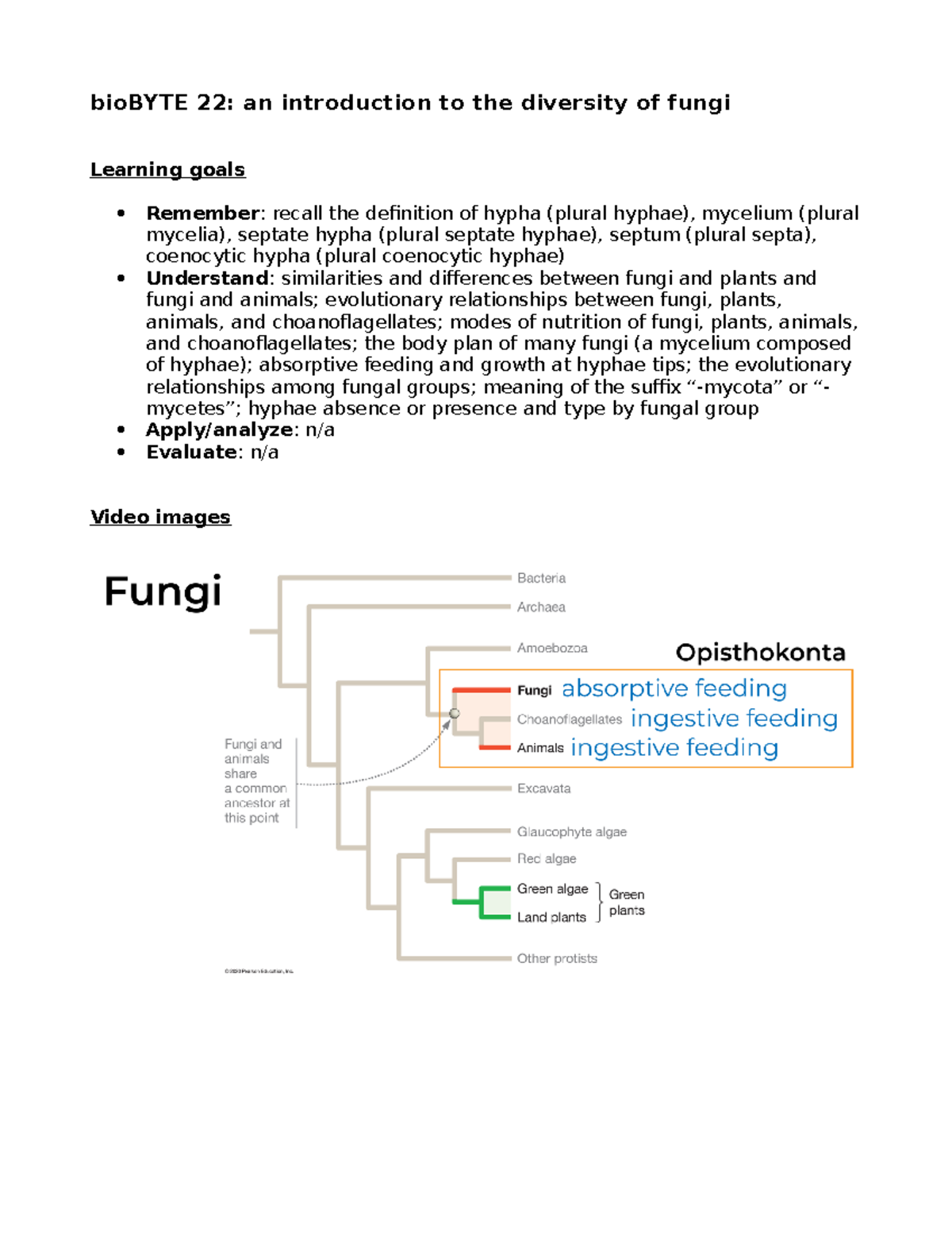 1802.Notes guide.bio BYTE 22 - bioBYTE 22: an introduction to the ...