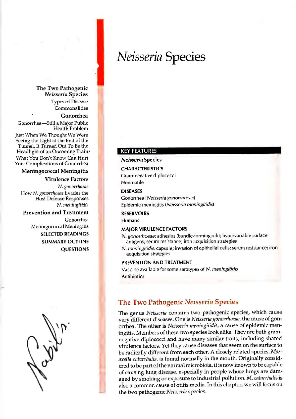 Neisseria - Advanced Research Methodology - Studocu