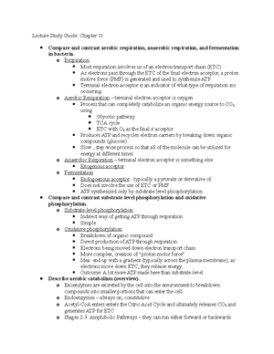 Lab 5 6 quiz - Lab - Lab 5: Control of Microbes Record observations ...