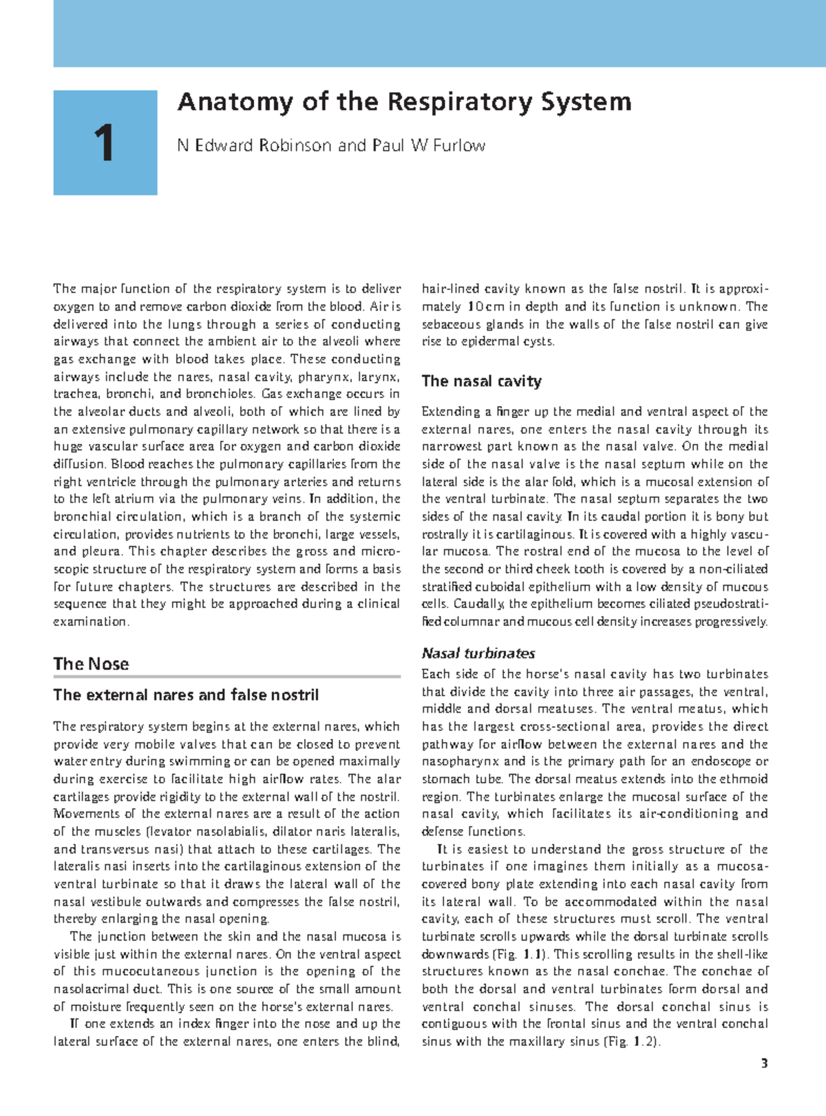 Cap. 1 - Anatomy of the Respiratory System - The major function of the respiratory system is to ...