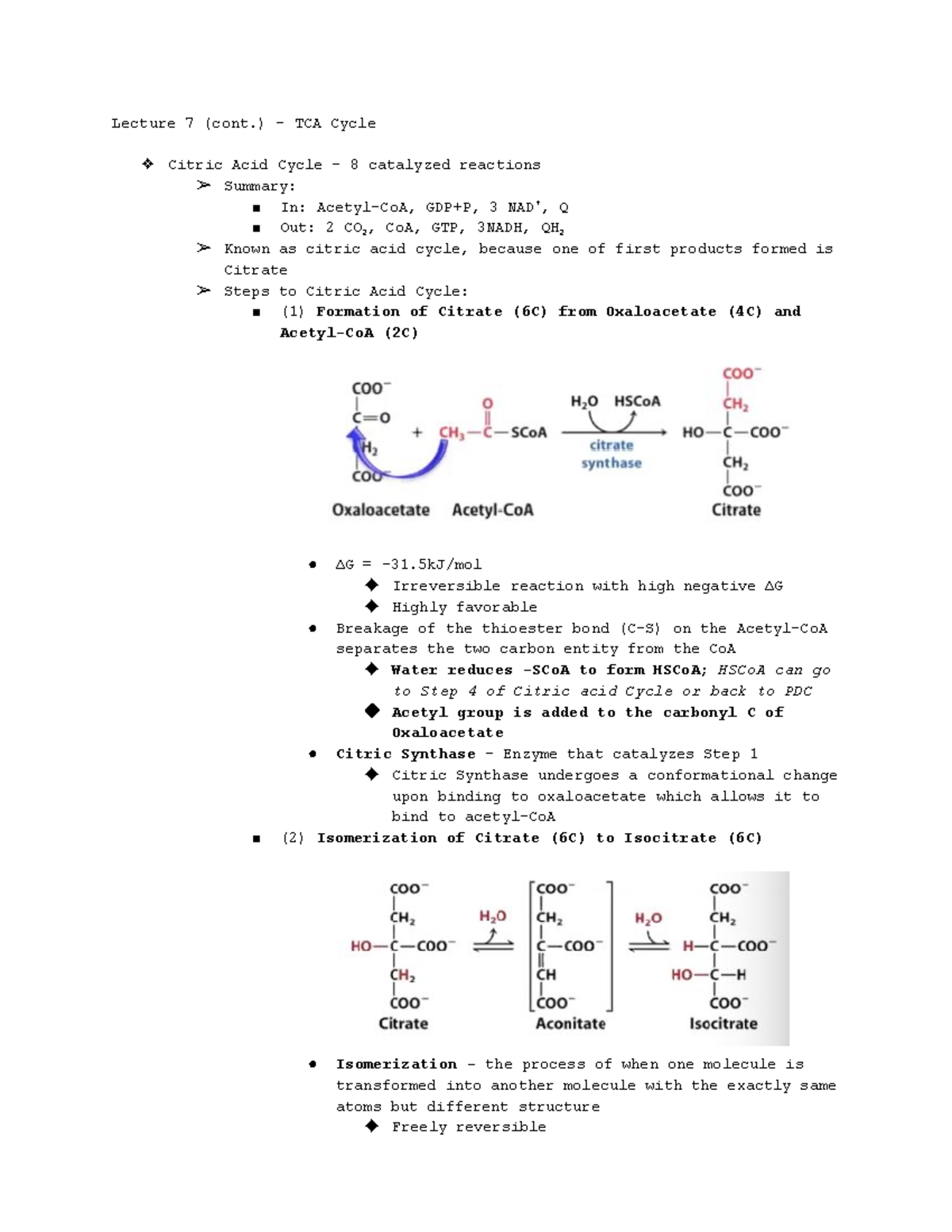 TCA Cycle - Lecture 7 (cont.) - TCA Cycle Citric Acid Cycle - 8 ...