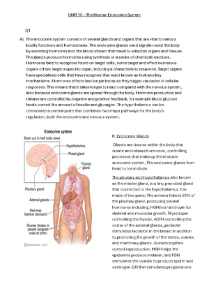 Human Nutrition and the Digestive System Presentation Script - Today I ...