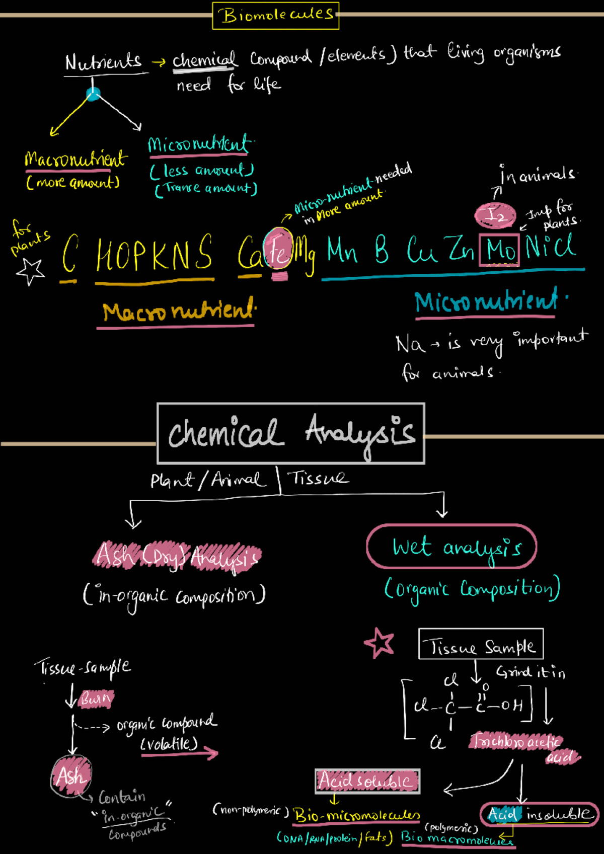 Biomolecule part 1 - hepful - Biomolecules Nutrients chemical Compound ...
