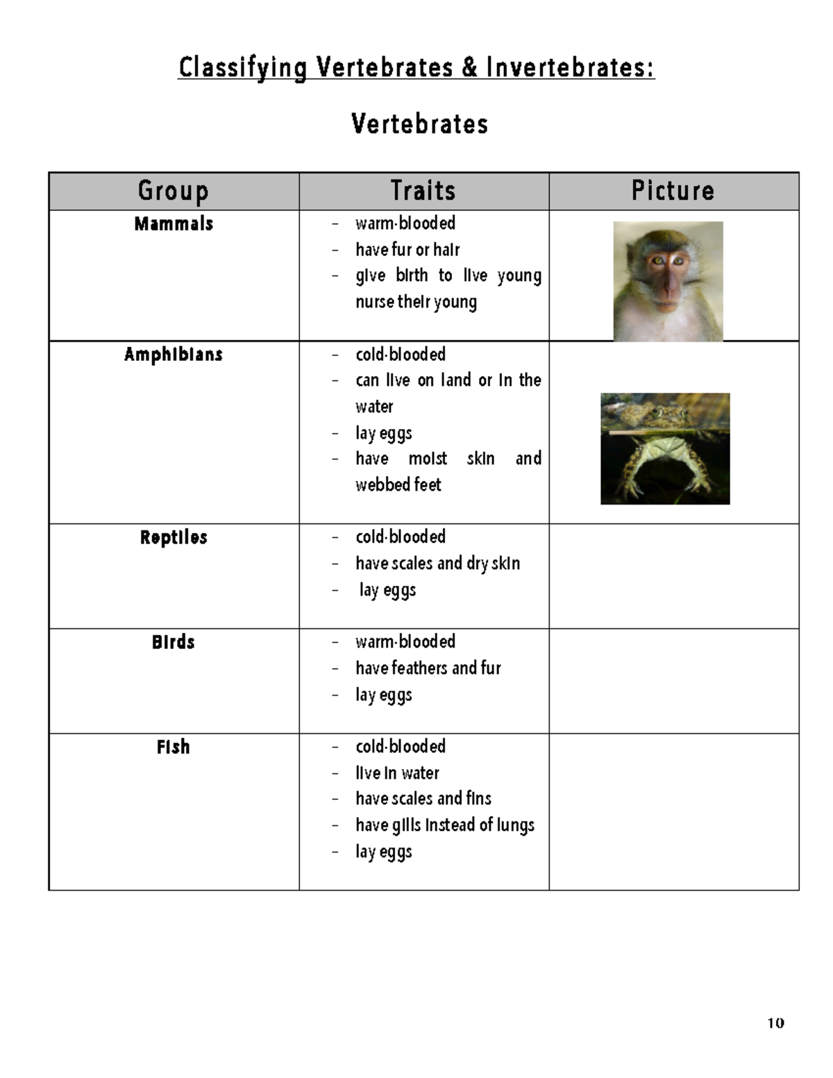 “Classifying Vertebrates and Invertebrates” worksheet - Vertebrates ...
