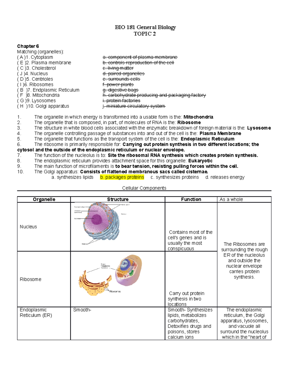 WEEK 3-HW- CH 6 worksheet - BIO 181 General Biology TOPIC 2 Chapter 6 ...