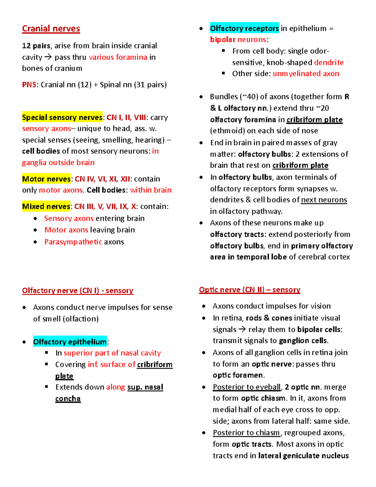 cranial nerves (1-12) - Cranial nerves 12 pairs, arise from brain ...