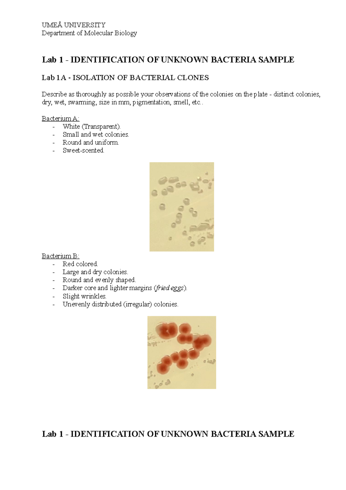 Lab 1 - Results - Department of Molecular Biology Lab 1 ...