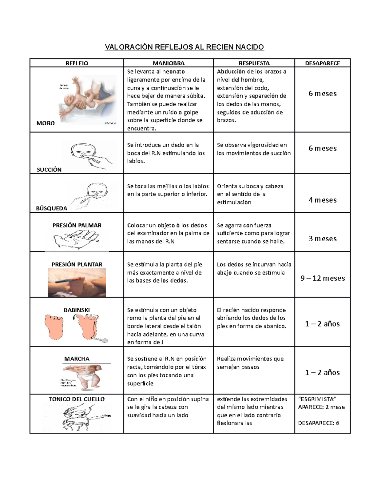 Reflejos y pares craneales - VALORACIÓN REFLEJOS AL RECIEN NACIDO REFLEJO MANIOBRA RESPUESTA ...