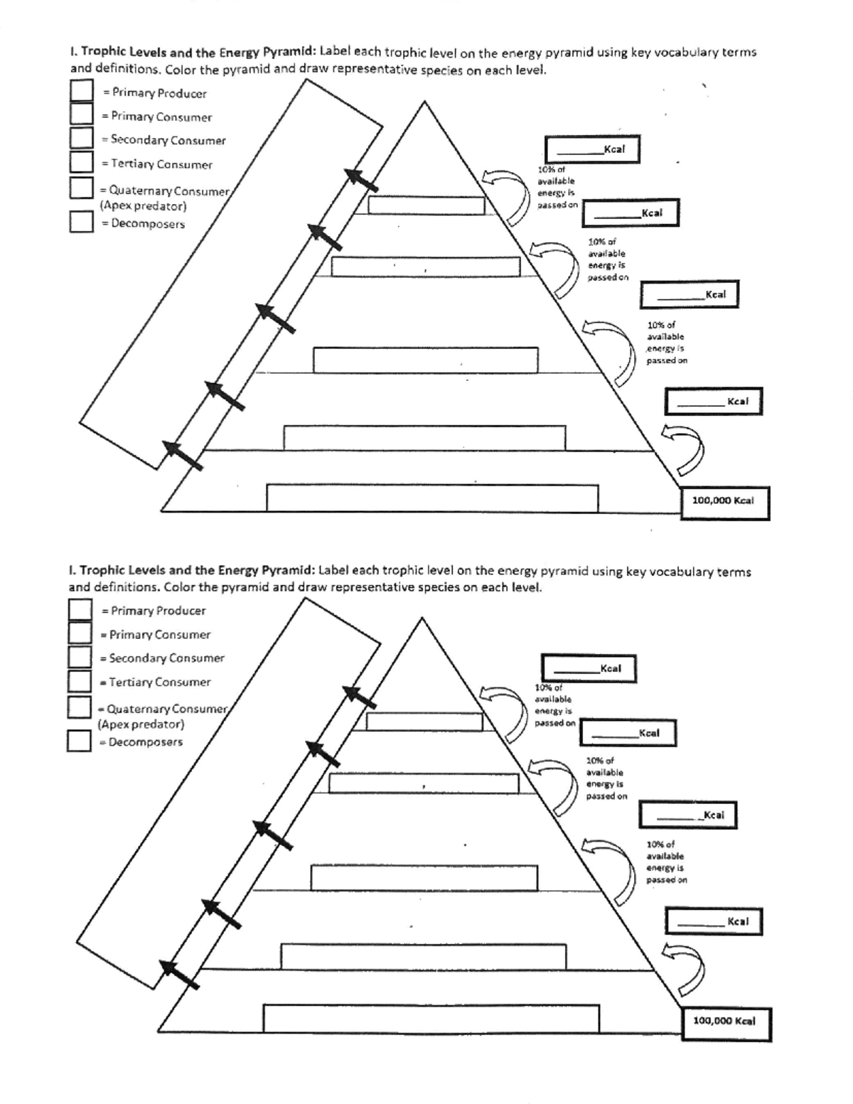 3.2 Tropic level activity - Studocu