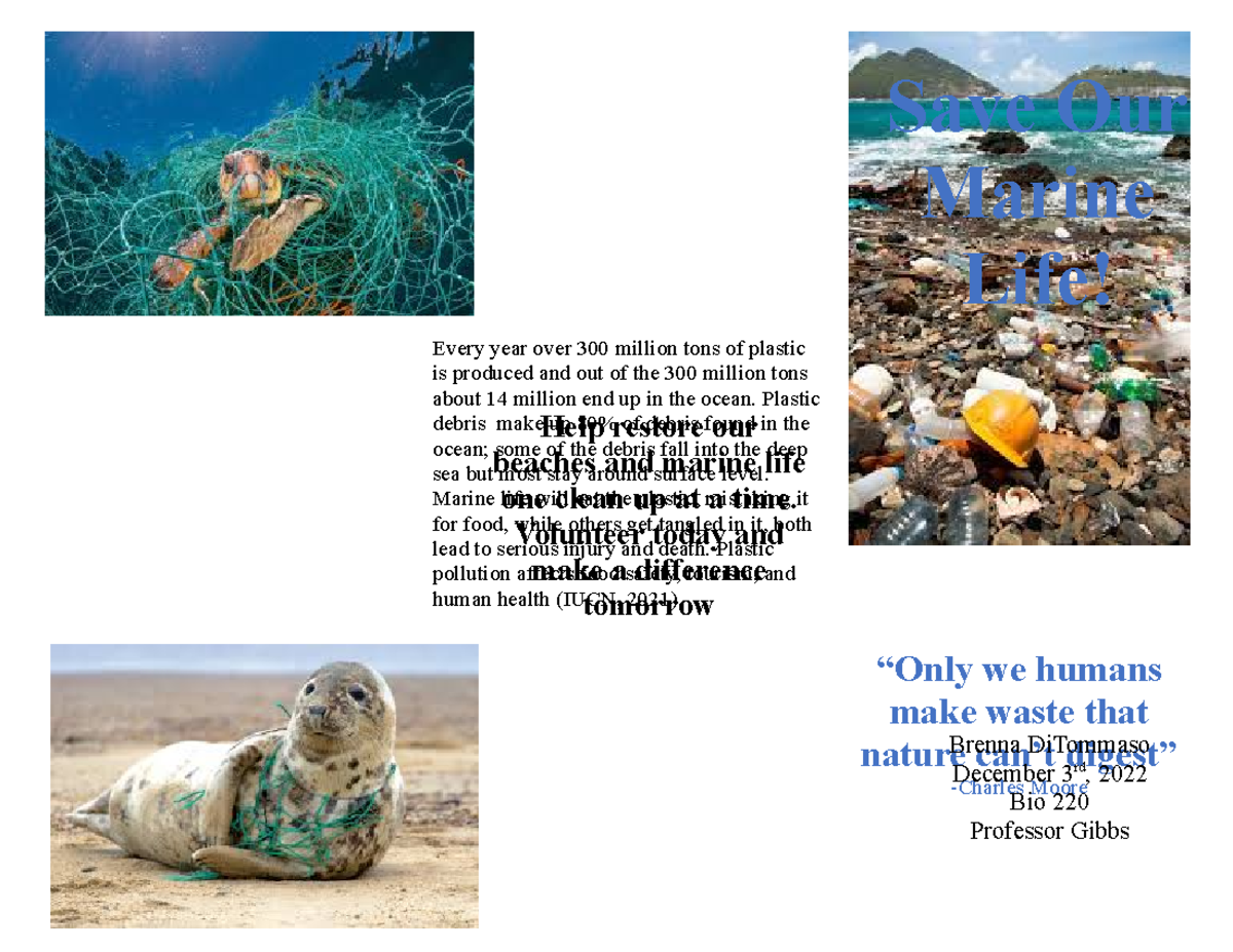 Marine Life - This is a flyer that we had to make for a situation ...