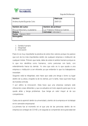 Actividad 4 Etica profesional y ciudadania - Reporte Profesional Nombre ...