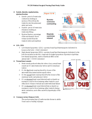 Cardiovascular assessment pocket reference card pdf - This pocket ...