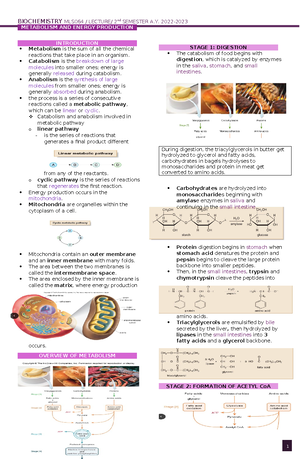Chemical TEST Proteins - CHEMICAL TEST: AMINO ACIDS CHEMICAL TEST AMINO ...