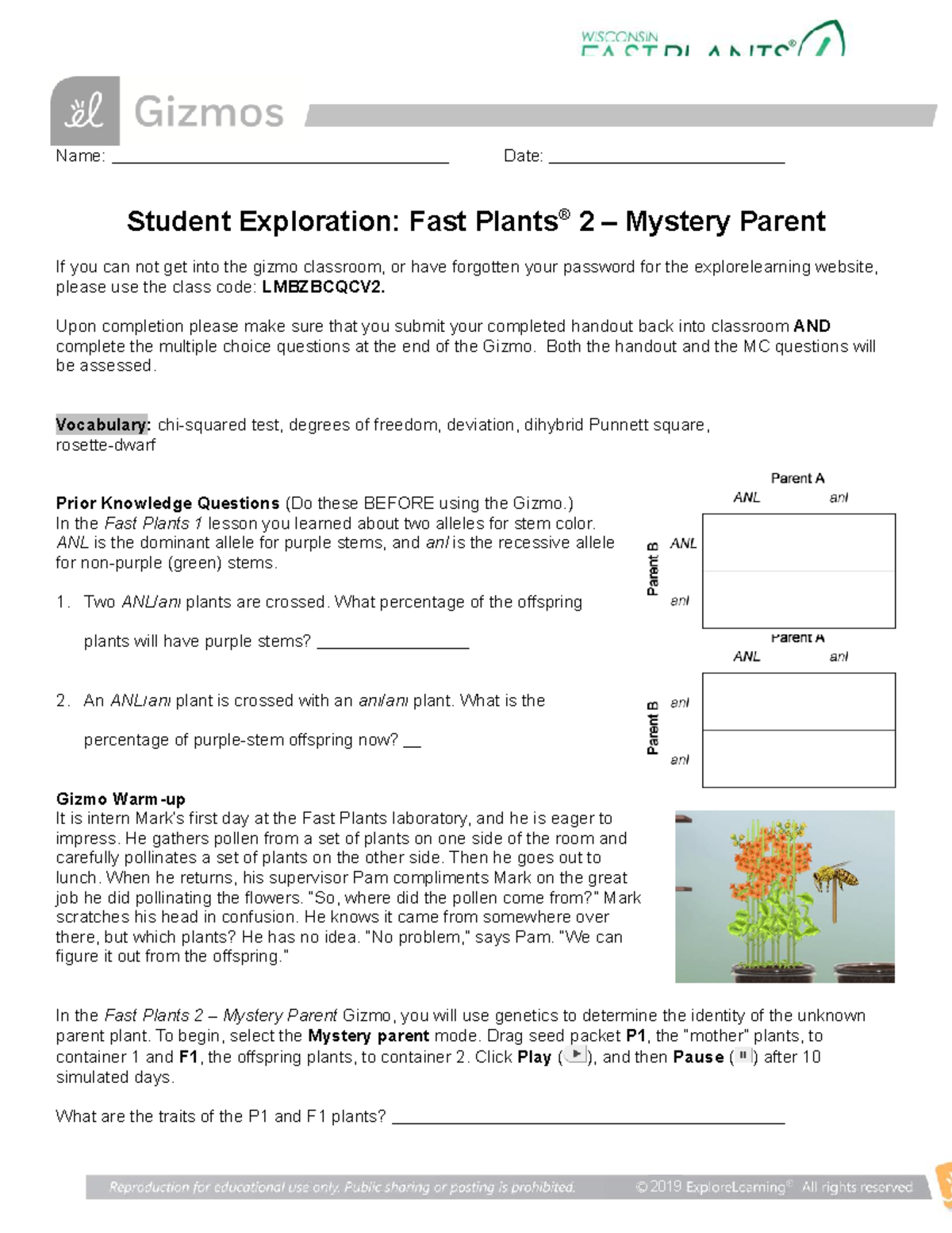 Shayan Panje Shahi - Lab - Gizmo Fast Plant Test Cross - Name: Date ...